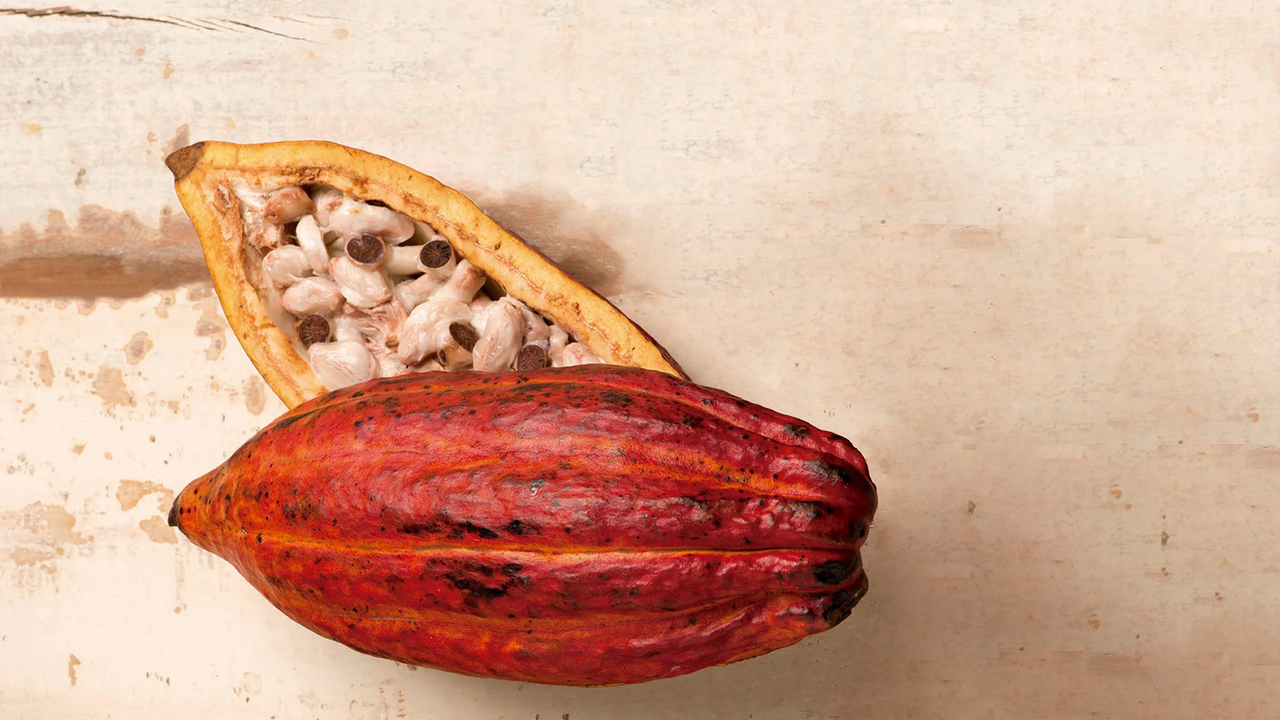 El cacao: origen y variedades en la gastronoma mundial