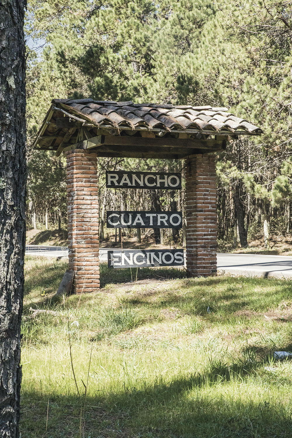 Este rancho surte quesos a los mejores restaurantes de la ciudad - Food ...