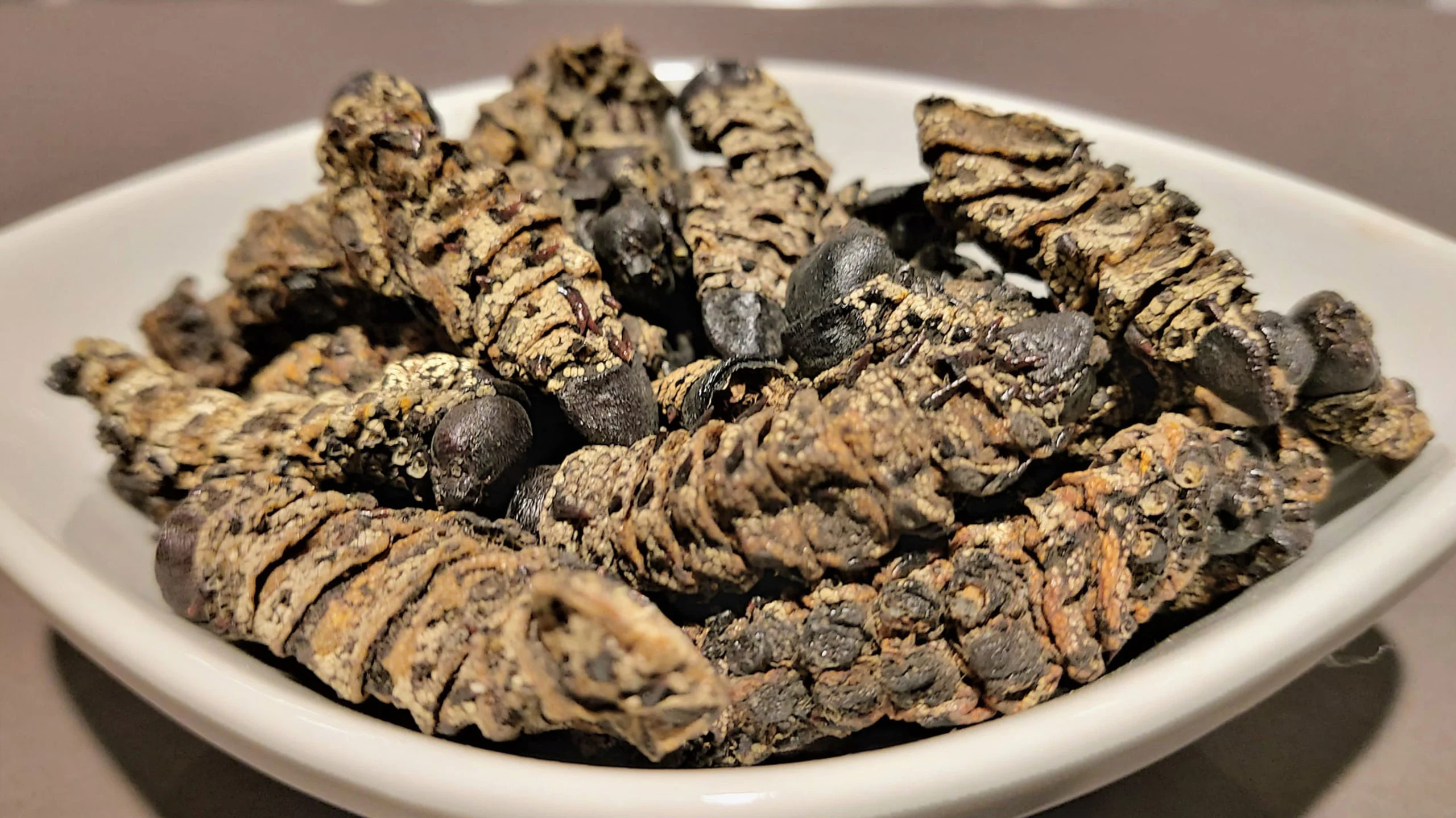 El Museo de la Comida Repugnante existe y ya llegó a Berlín