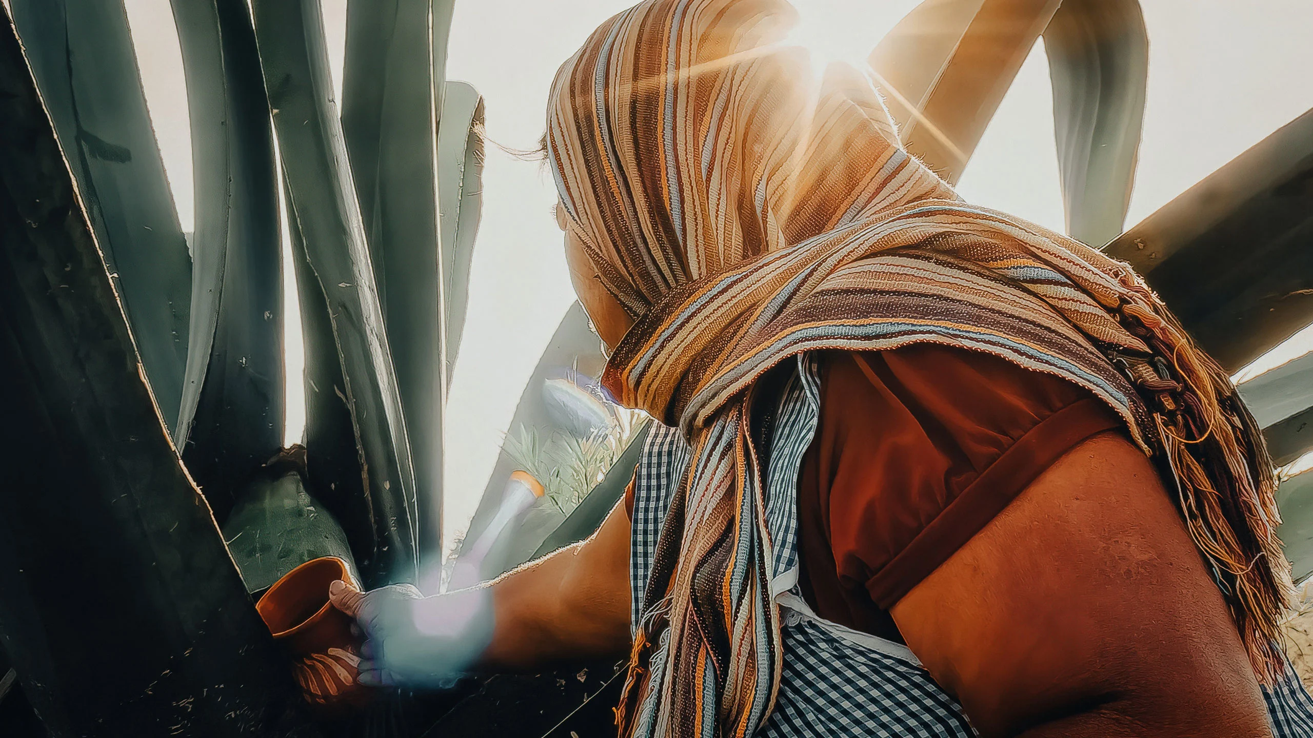 ¿Eres amante del pulque? Conoce la ruta que tienen preparada en Hidalgo