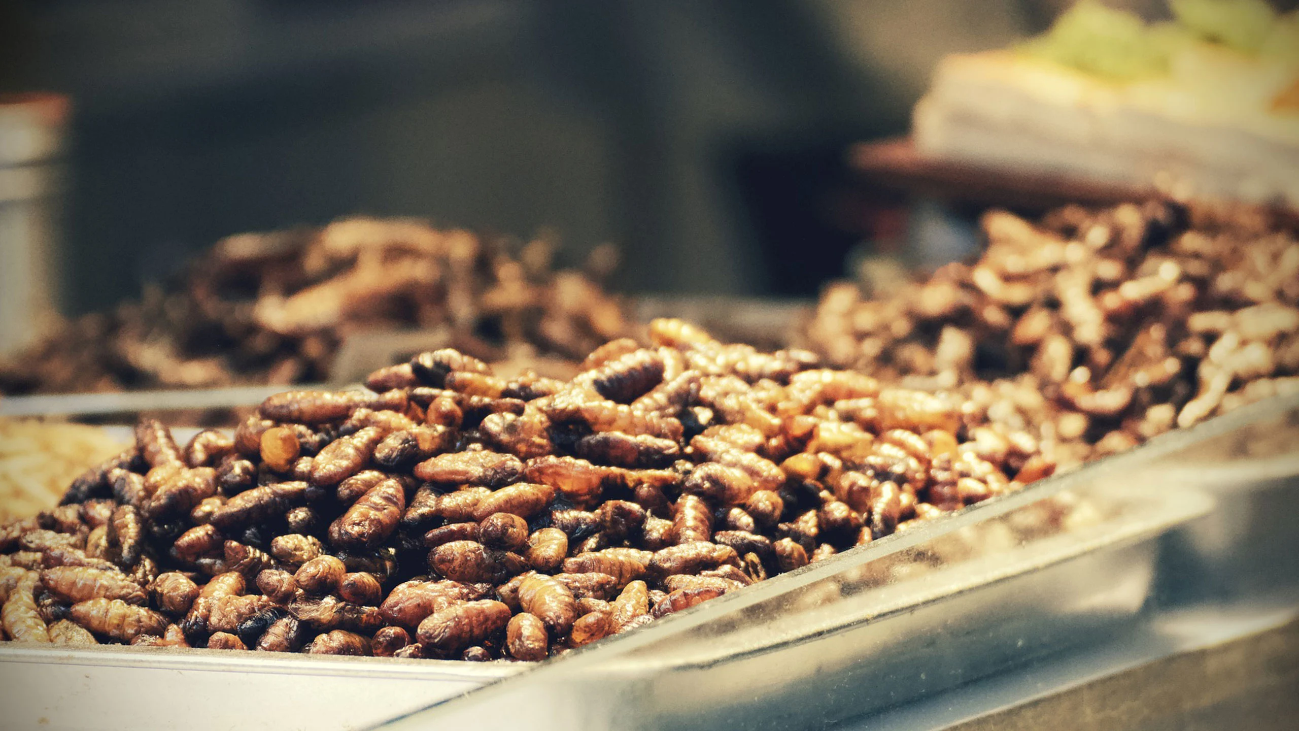 Cuetlas: un platillo prehispánico de Puebla hecho con larvas de mariposa