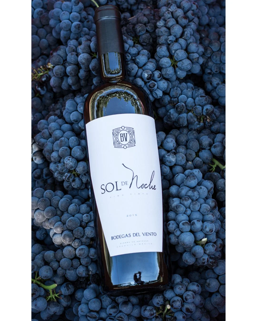 Sol de Noche 2021, el mejor vino mexicano de la Guía Peñín - Food ...