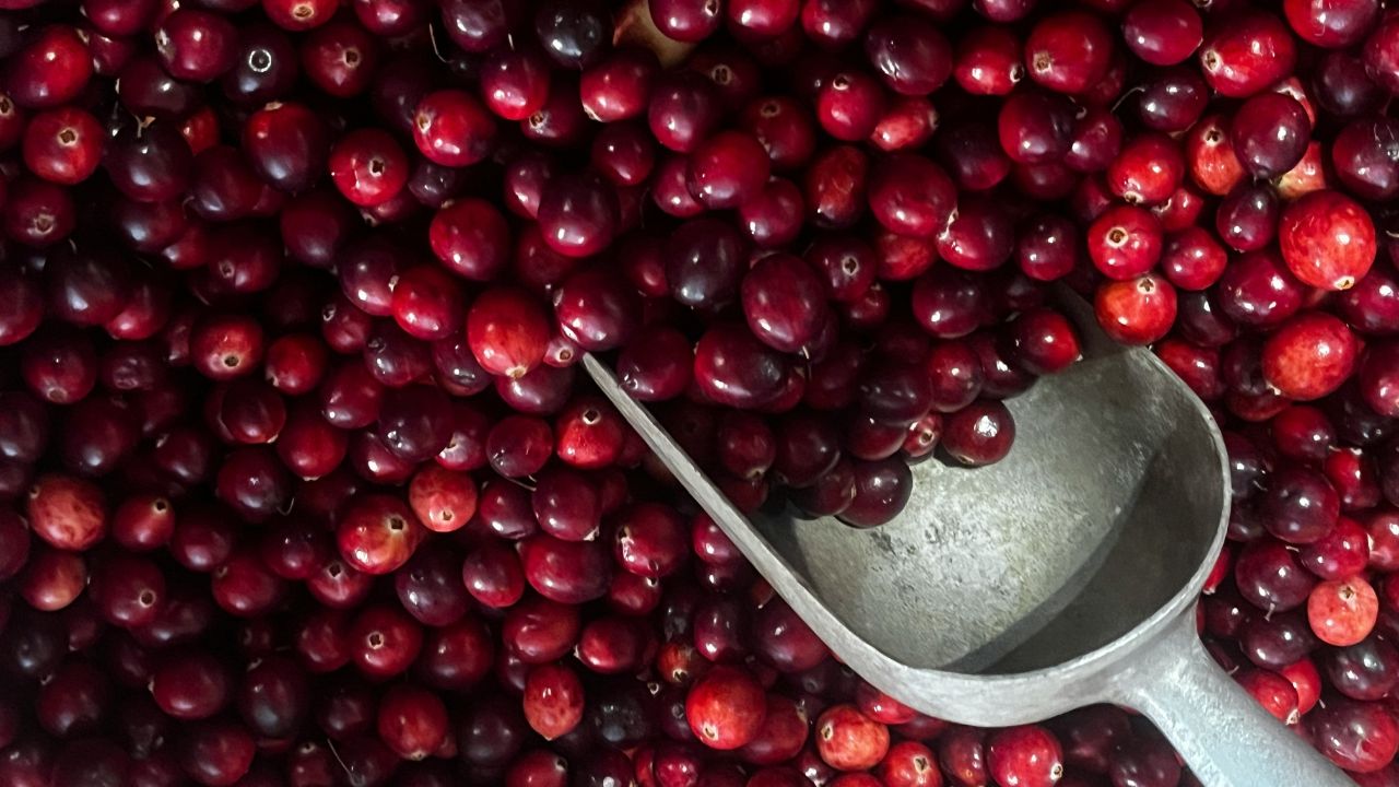 Cranberry, un versátil y nutritivo fruto chileno - Food & Wine en Español