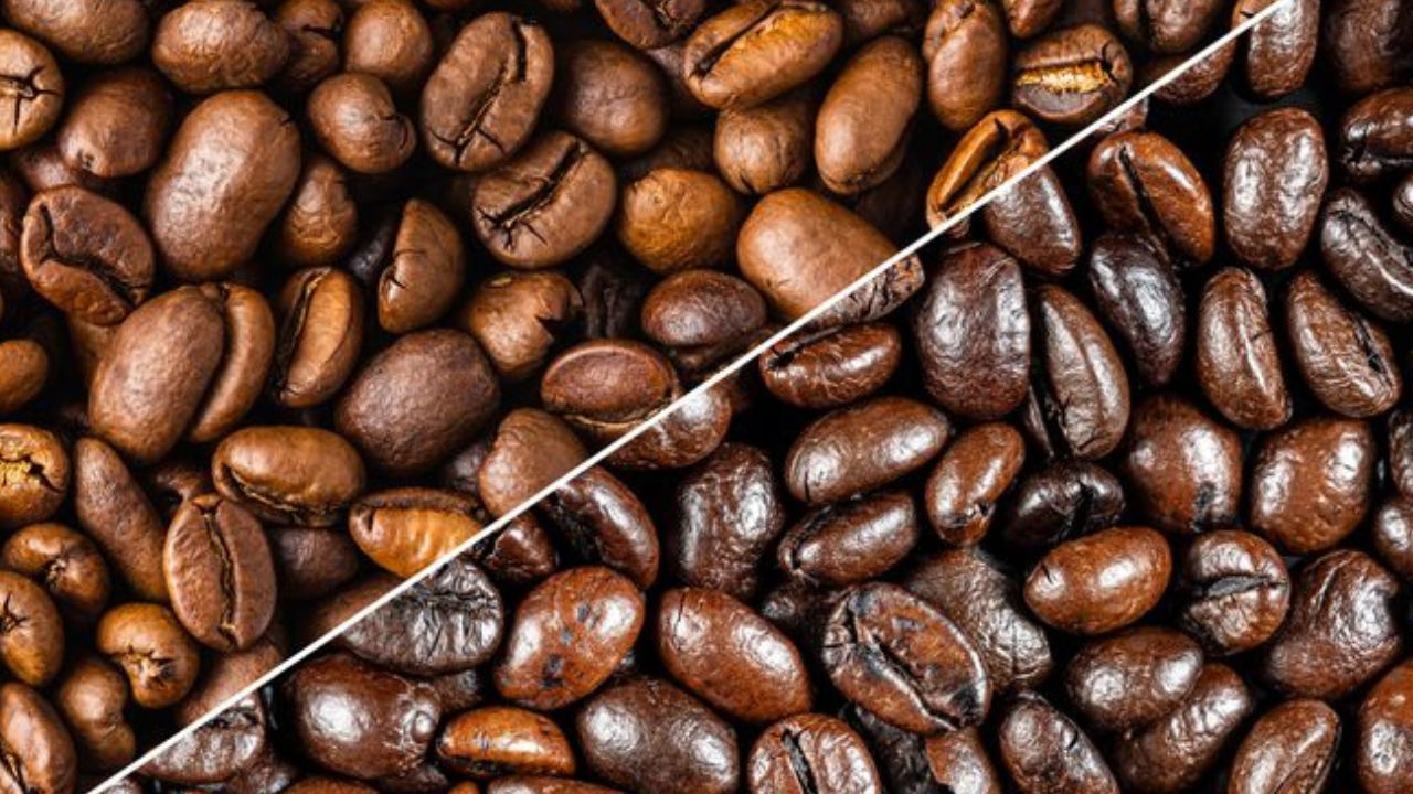 ¿Cuáles son las diferencias entre los granos de café Arábica y Robusta ...